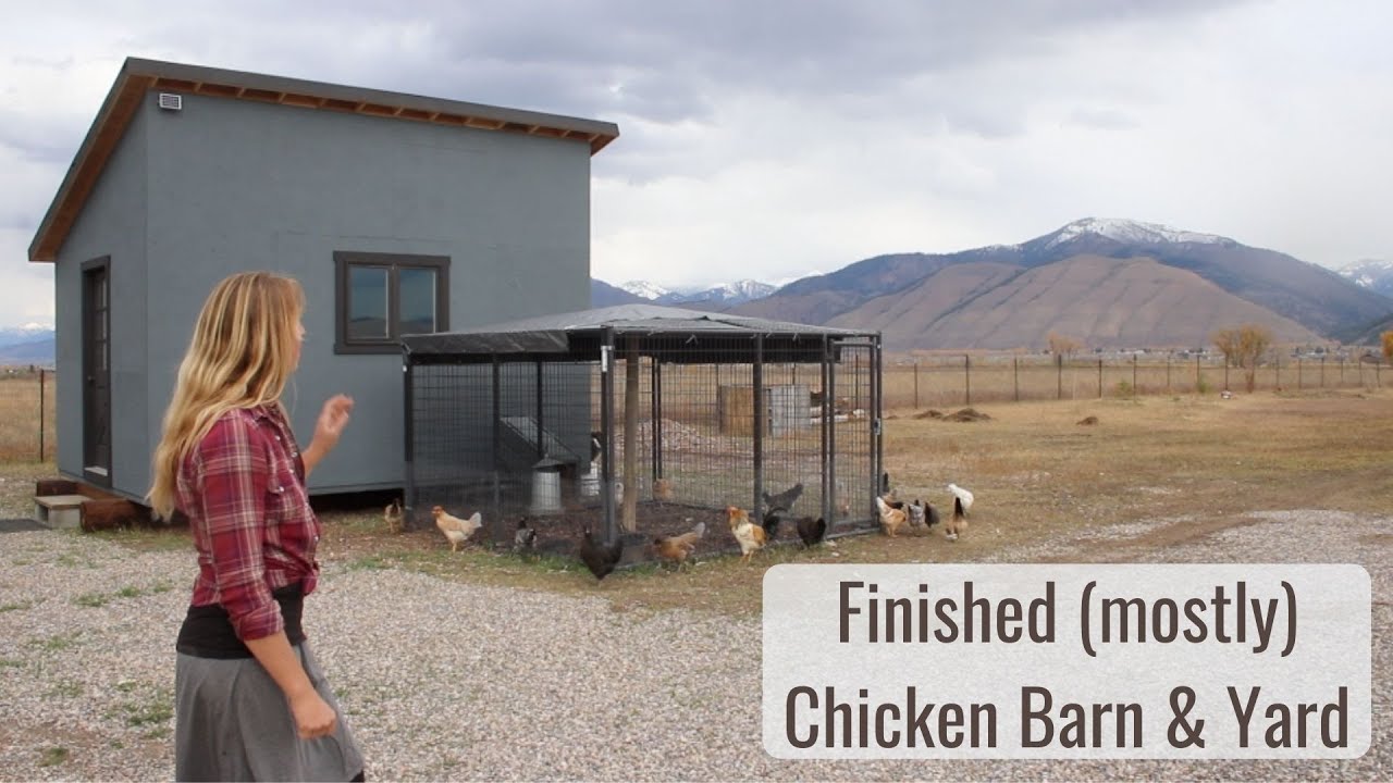 Finished (mostly) Chicken Barn and Yard - Predator Proofing and How ...