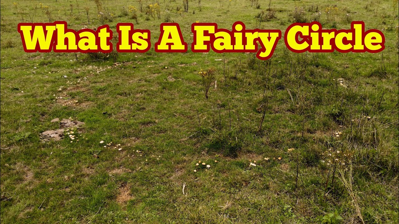 What Is A Fairy Circle? - YouTube