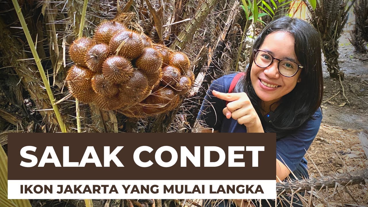 Salak Condet