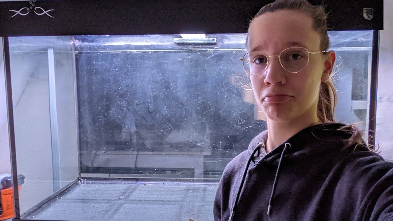Aquarium AFBREKEN: tijd voor een nieuw AVONTUUR! //Nickey// - YouTube
