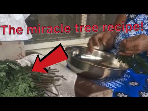 Saijan Bhaji - The authentic miracle tree recipe | Fiji Islands - YouTube