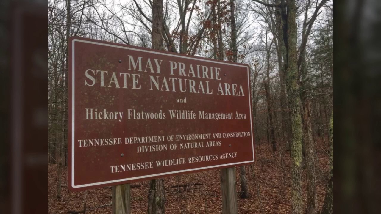 May Prairie Tennessee State Natural Area 1-1-17 - YouTube