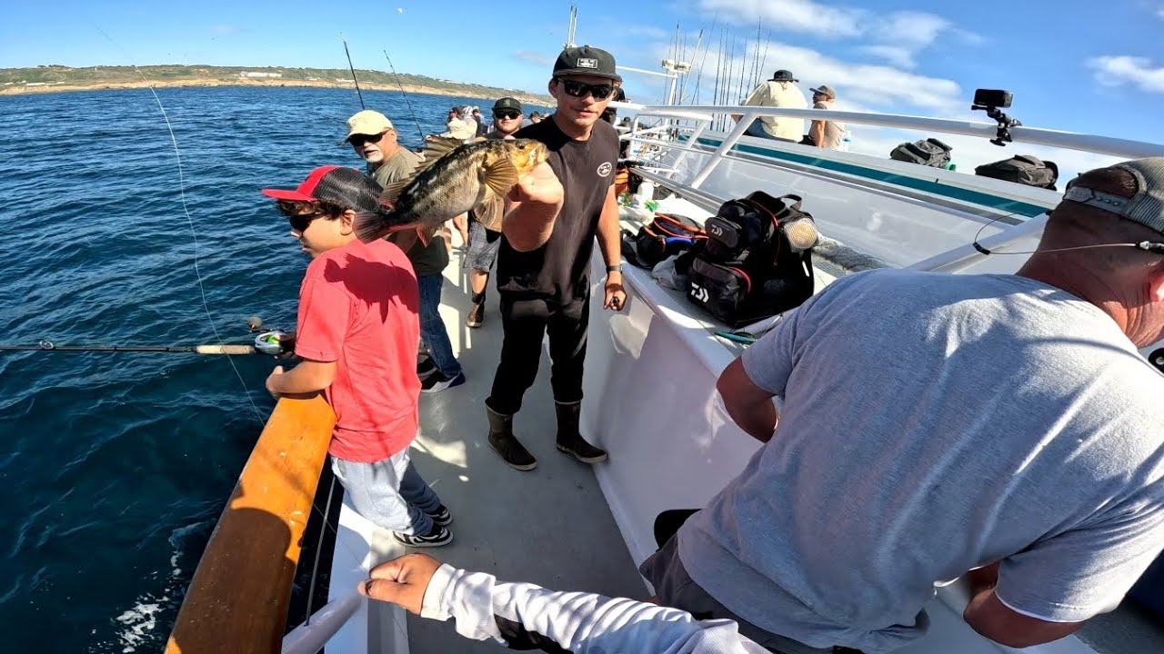 Birthday Barracuda - YouTube