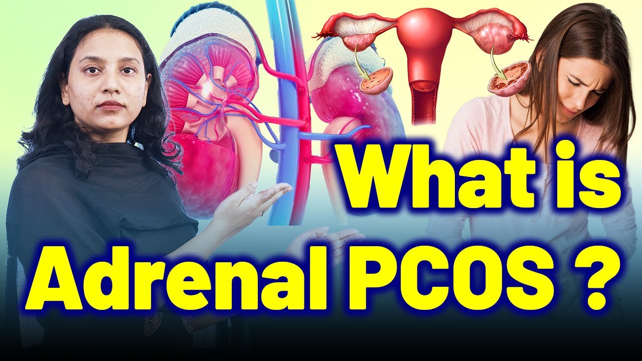 What If Your PCOS Is Actually Adrenal PCOS?" | Treatment Cure Medicine ...
