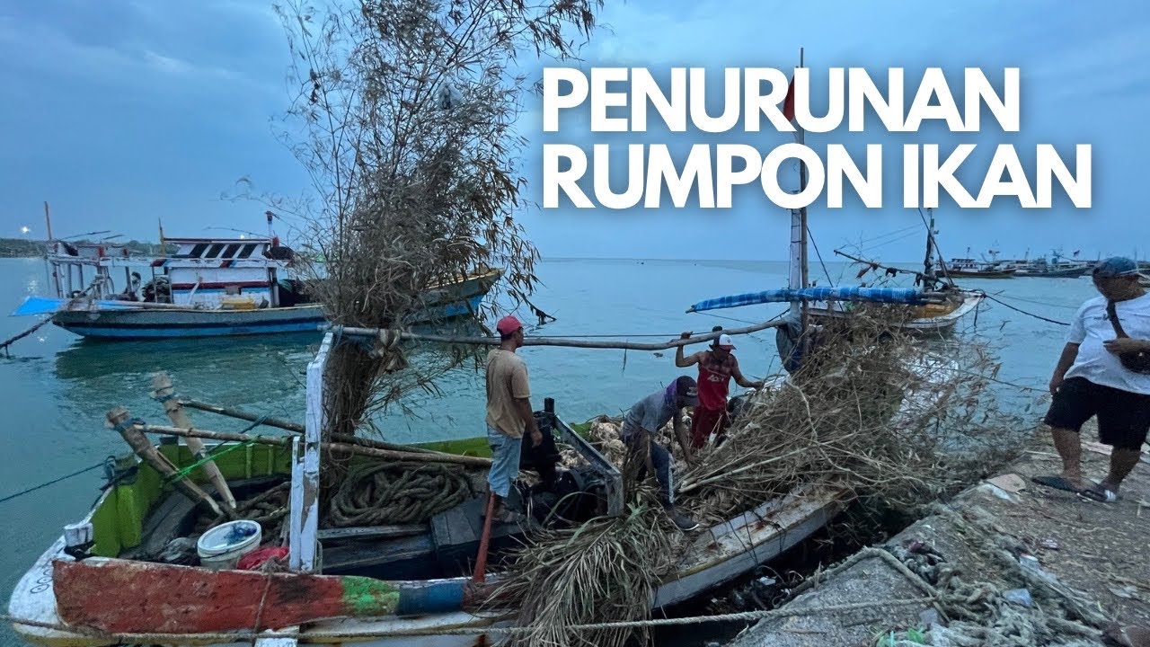 PROSES PENURUNAN RUMPON IKAN - YouTube