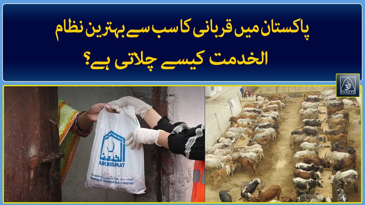 Pakistan's Largest Communal Sacrifice Setup | Raah TV | Al-Khidmat ...