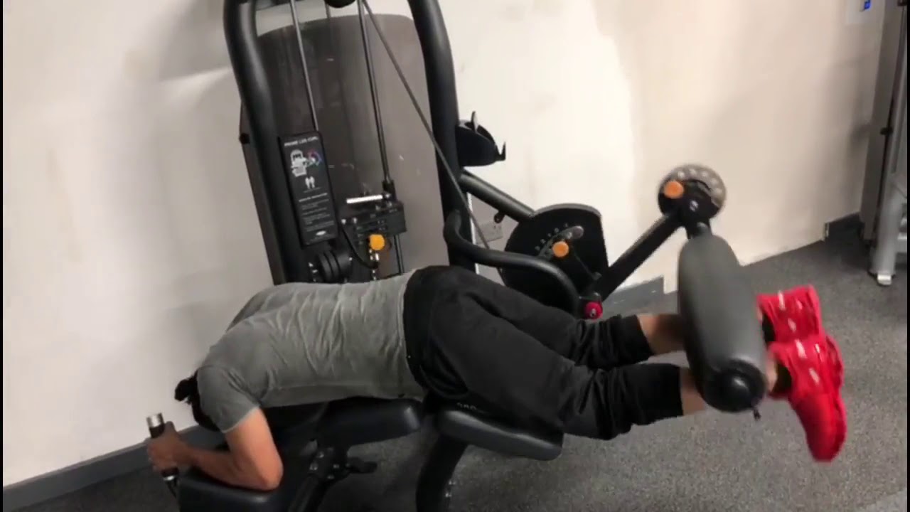 Legs and Abs Workout for Beginners Full HD - YouTube