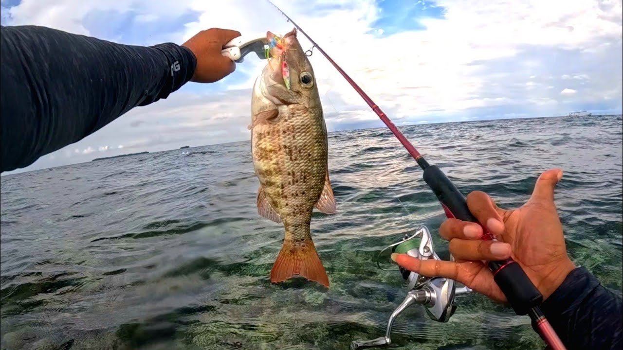 BERASA MANCING DI KOLAM | MANCING DI PULAU PANJANG KEPULAUAN SERIBU 🏝 - YouTube