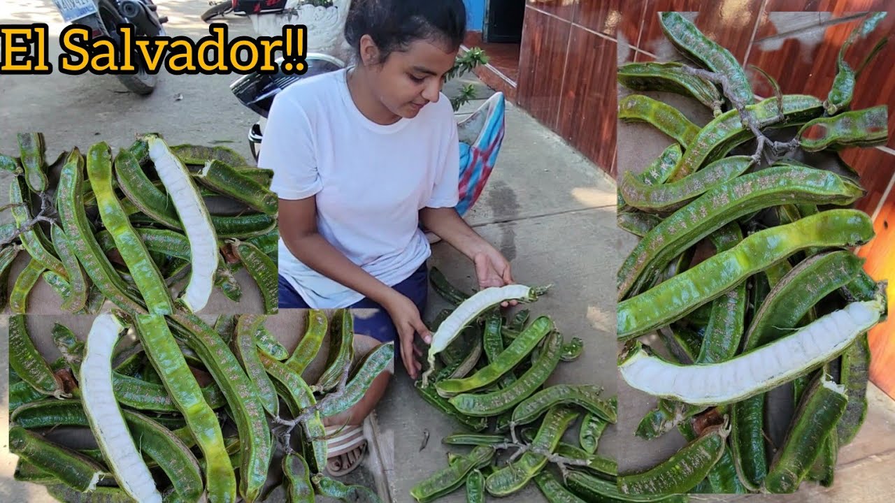 COMIENDO PEPETOS EN EL SALVADOR!! - YouTube
