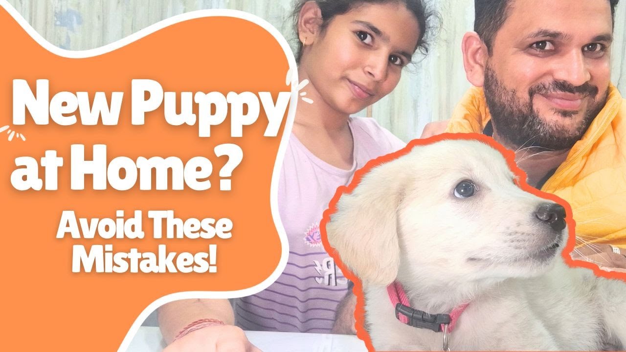 New Puppy at Home? Avoid These Mistakes! (Meet Simba!) 🐾 # ...
