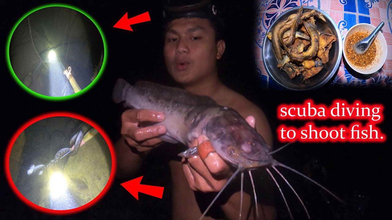 Dive for fish at night to cook outstanding dishes that are delicious.🤿🏹 ...