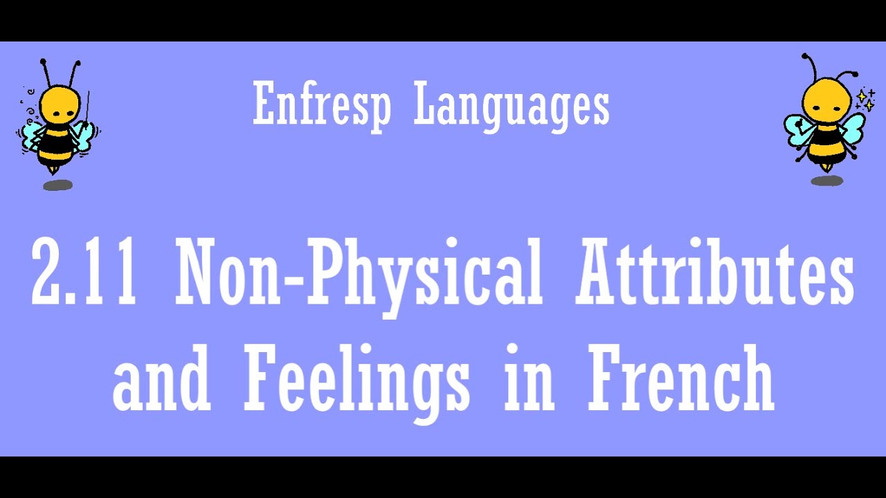 2.11 Non Physical Attributes and Feelings in French - YouTube