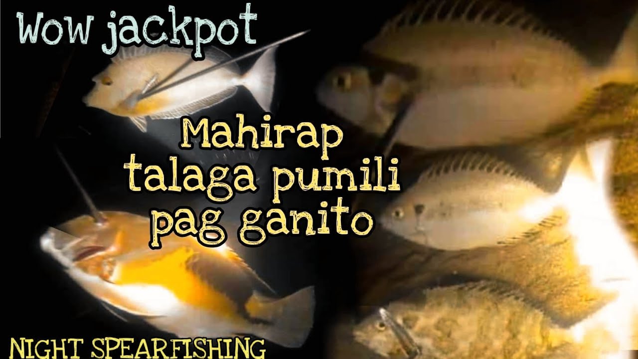 EP 190: NIGHT HUNTING FISH | MAHIRAP TALAGA PUMILI PAG GANITO ...