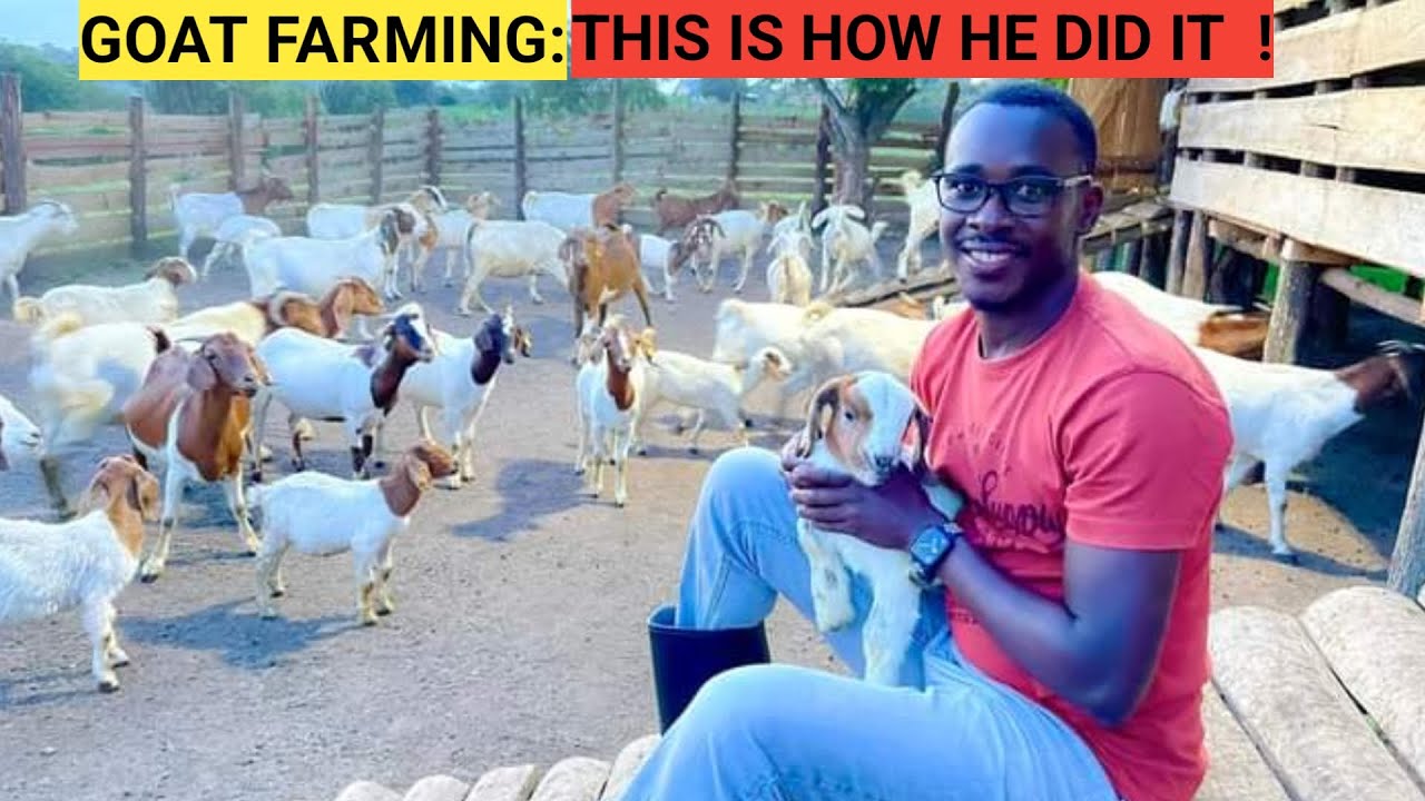 How He Started With A Few GOATS And Now A Successful FARMER ! - YouTube