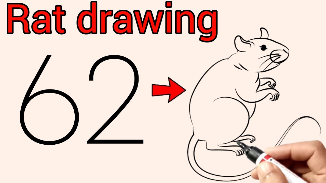 How To Draw A Rat Easy With Numbers | Rat Drawing Tutorial Step By Step ...