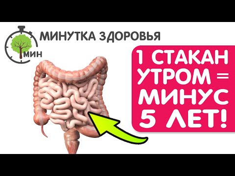 Как 1 стакан запускает необратимые процессы в организме!