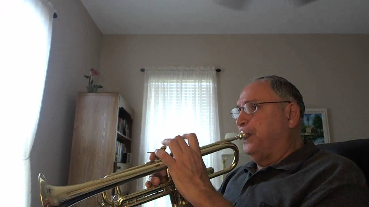 SOLITARY MAN - NEIL DIAMOND - TRUMPET - YouTube