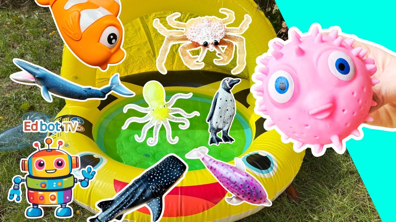 Learn Sea Animal Names for Babies Preschoolers Kids: Pufferfish Penguin ...
