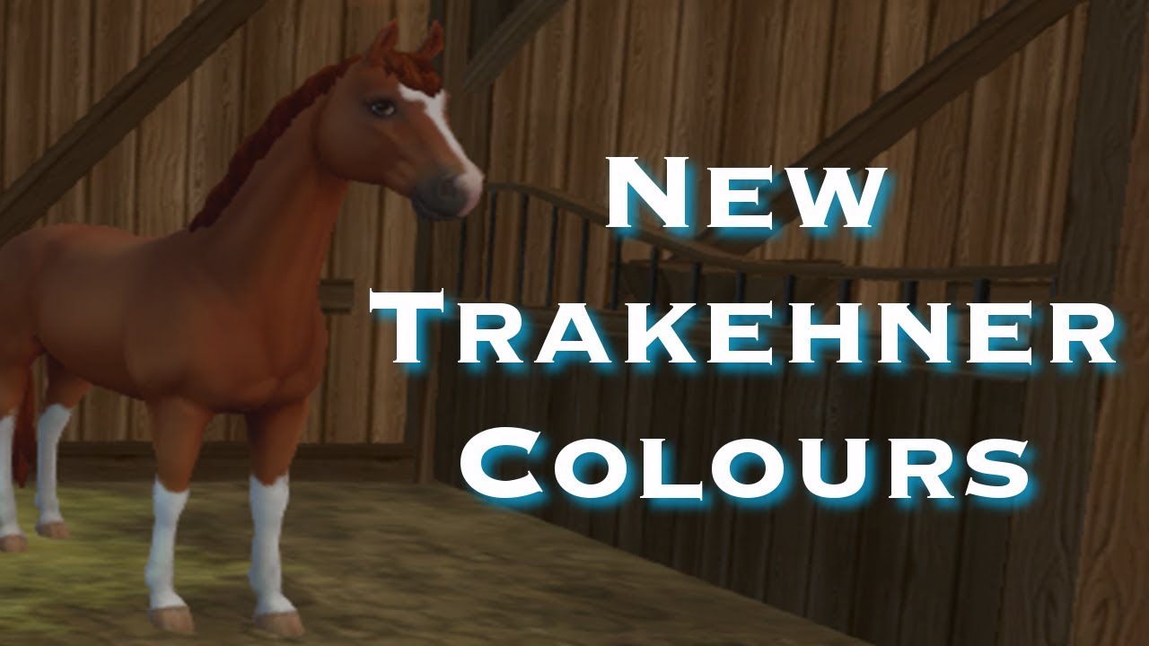 New Trakehner Colours | SSO Update - YouTube