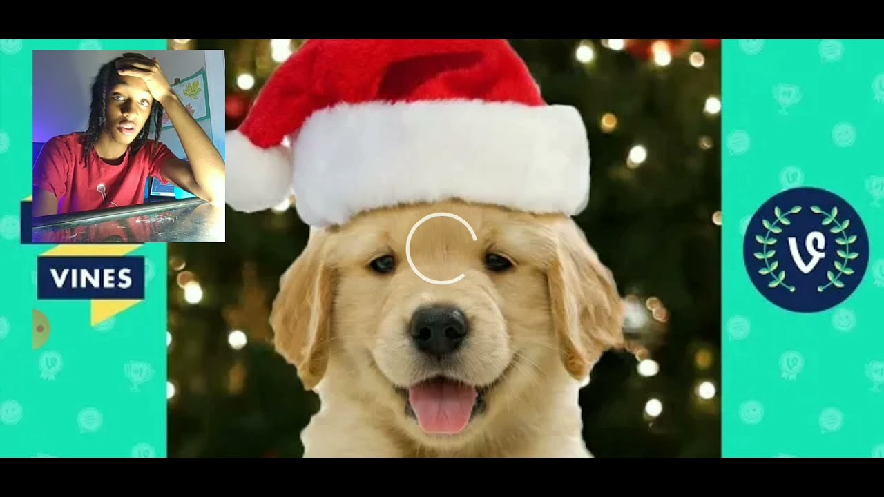 reacting to* funny videos* # sleepy - YouTube
