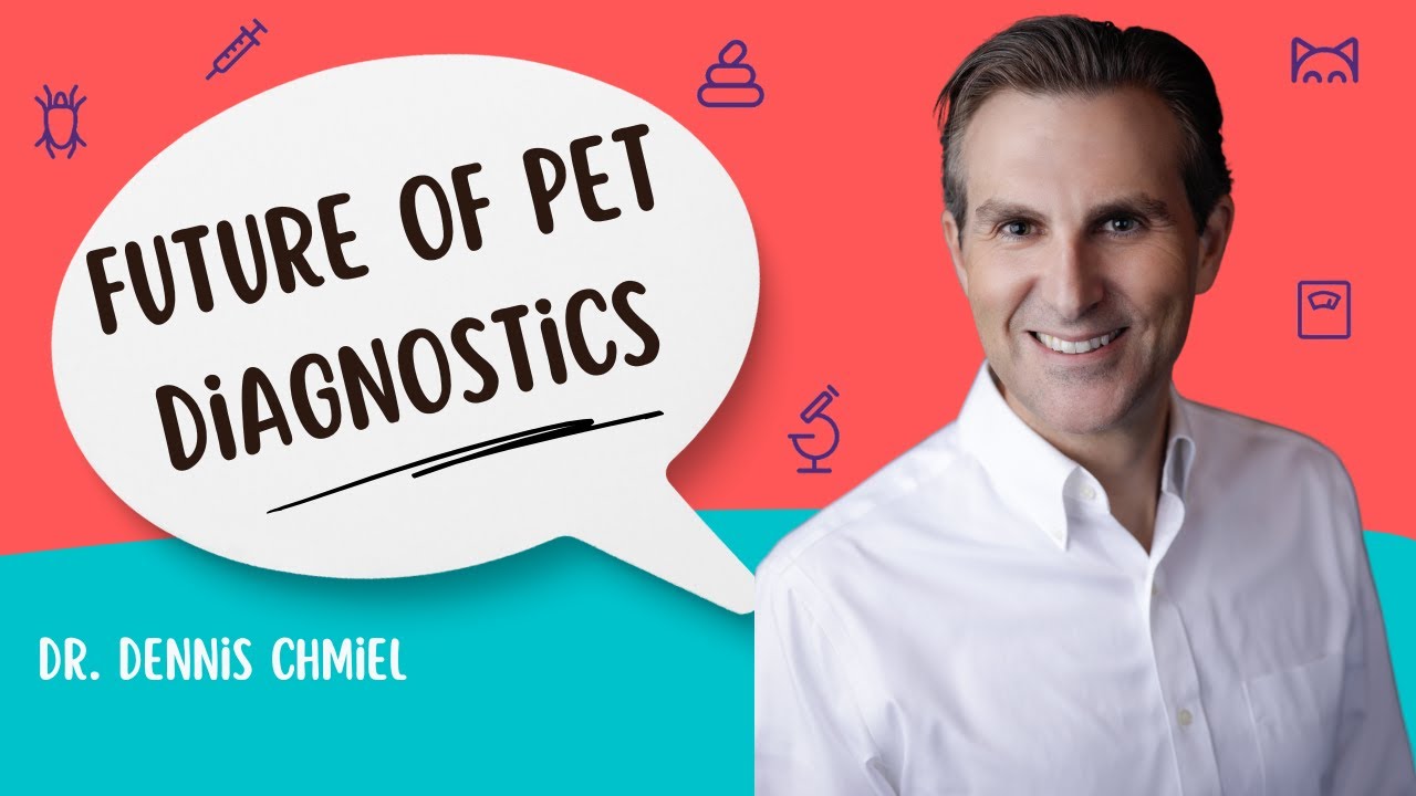 Revolutionizing Pet Diagnostics: How One Vet is Changing the Future of ...