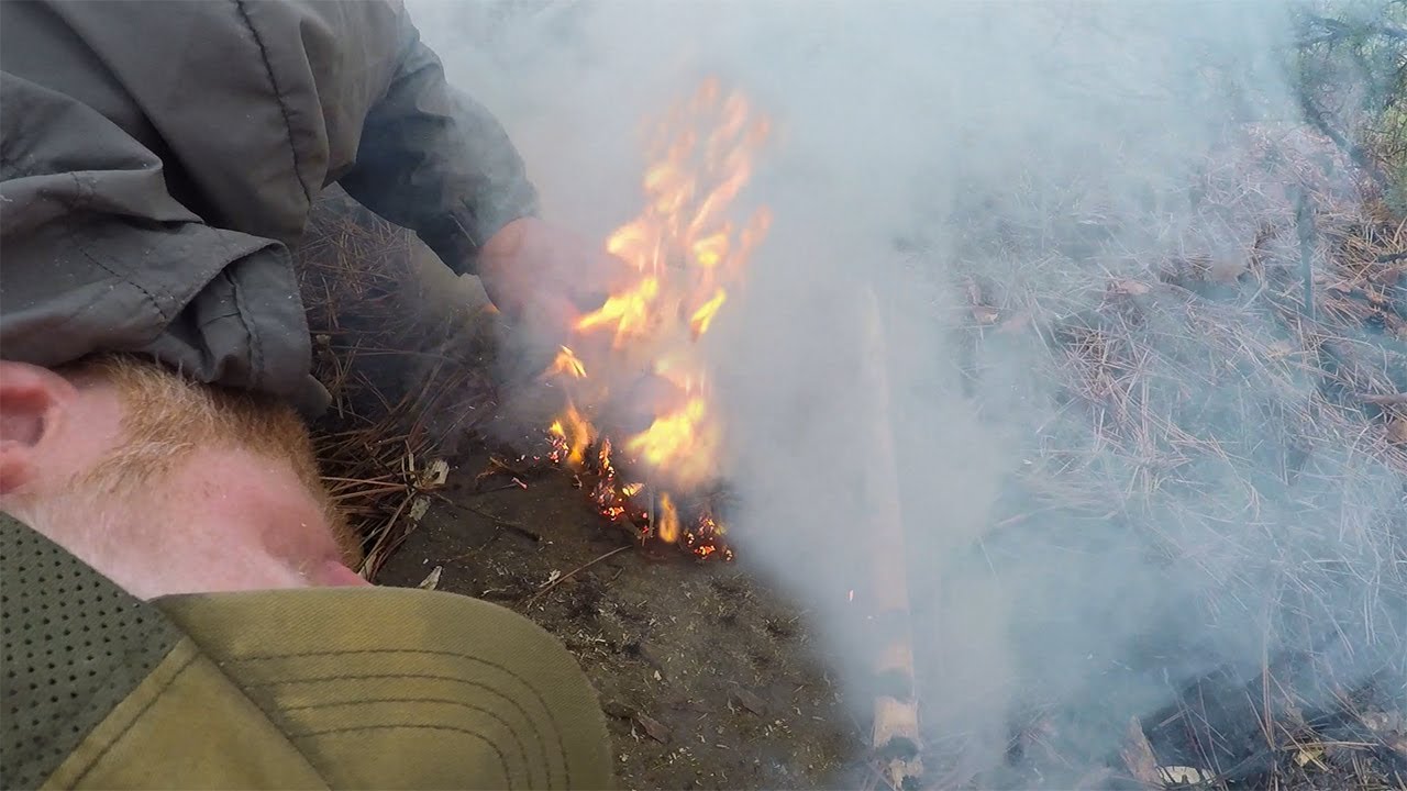One Plant to Make a Fire: All Natural - YouTube