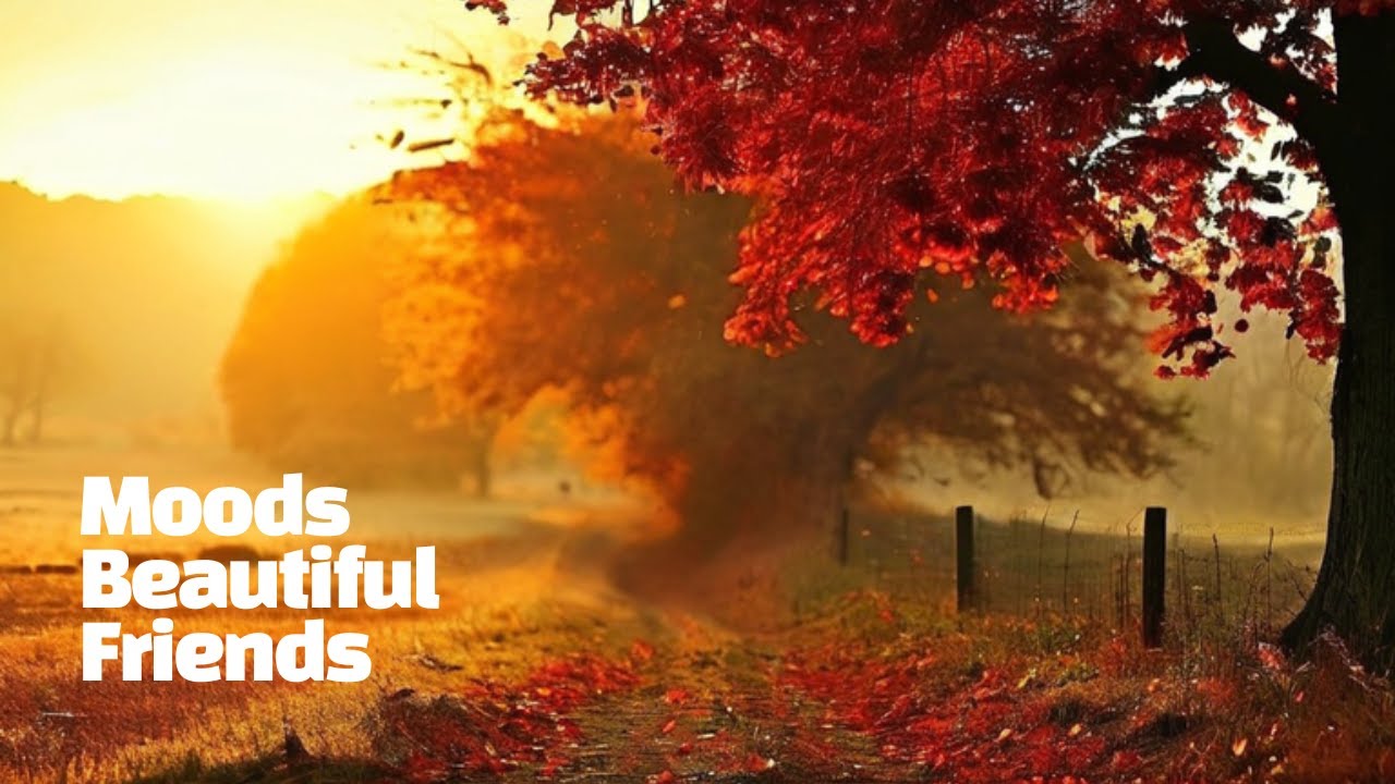 Moods Beautiful Friends - YouTube