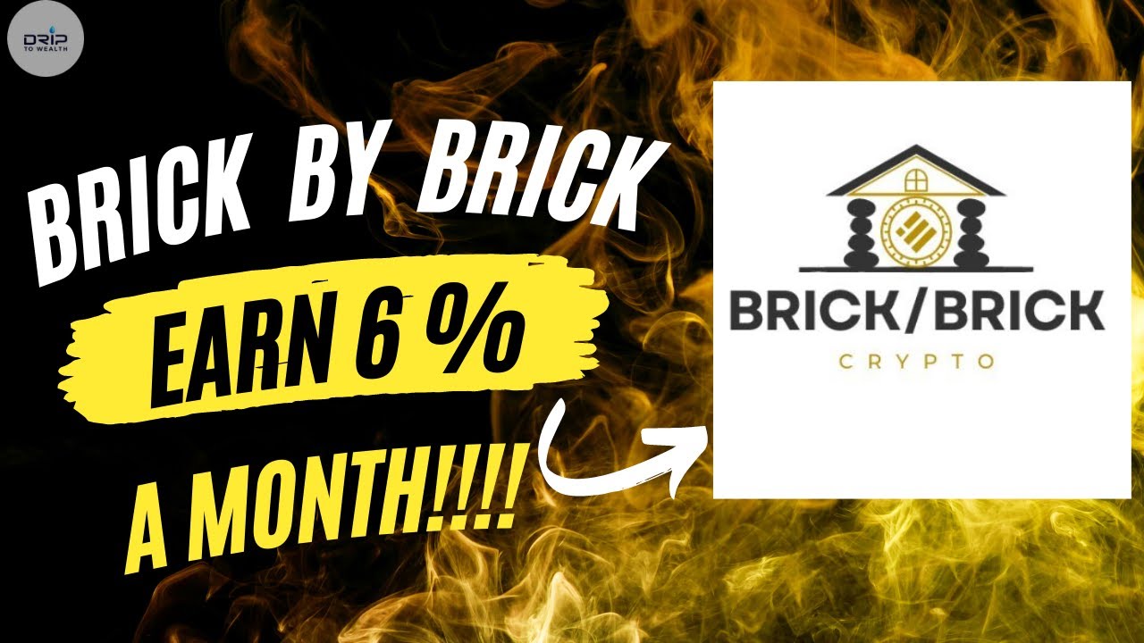 Brick by Brick Crypto: How to earn 6% a month with low risk!! #btc #investing #realestate - YouTube