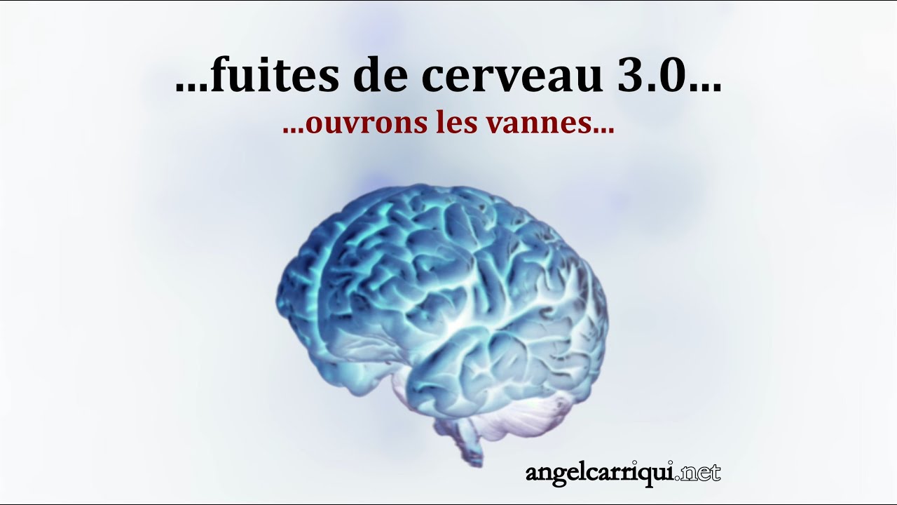 ...fuites de cerveau 3.0... - YouTube