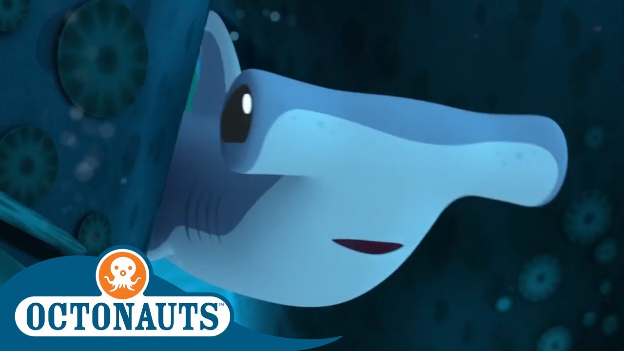 Octonauts - Perils of the Coral Reef | Cartoons for Kids | Underwater ...
