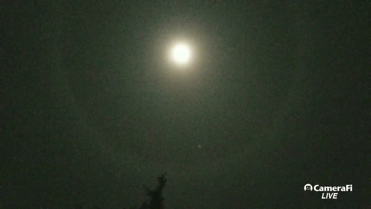 Grid Moon Circles #ShellShellTime @ShellShellAdventures - YouTube