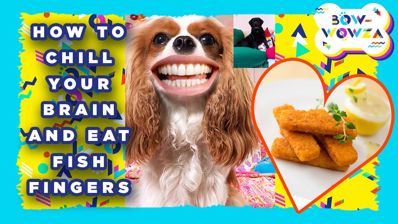How To Chill Your Brain and Eat Fishfingers | Mindfulness - YouTube