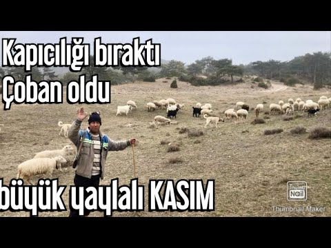 KAPICILIĞI BIRAKIP KÖYE DÖNDÜ / KOYUNCULUK YAPIYOR