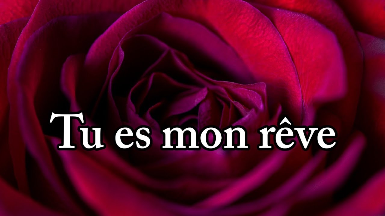 💕 Je n'ai plus besoin de rêver, car tu es mon rêve, 😍😍♥️♥️ ️ ️ message ...