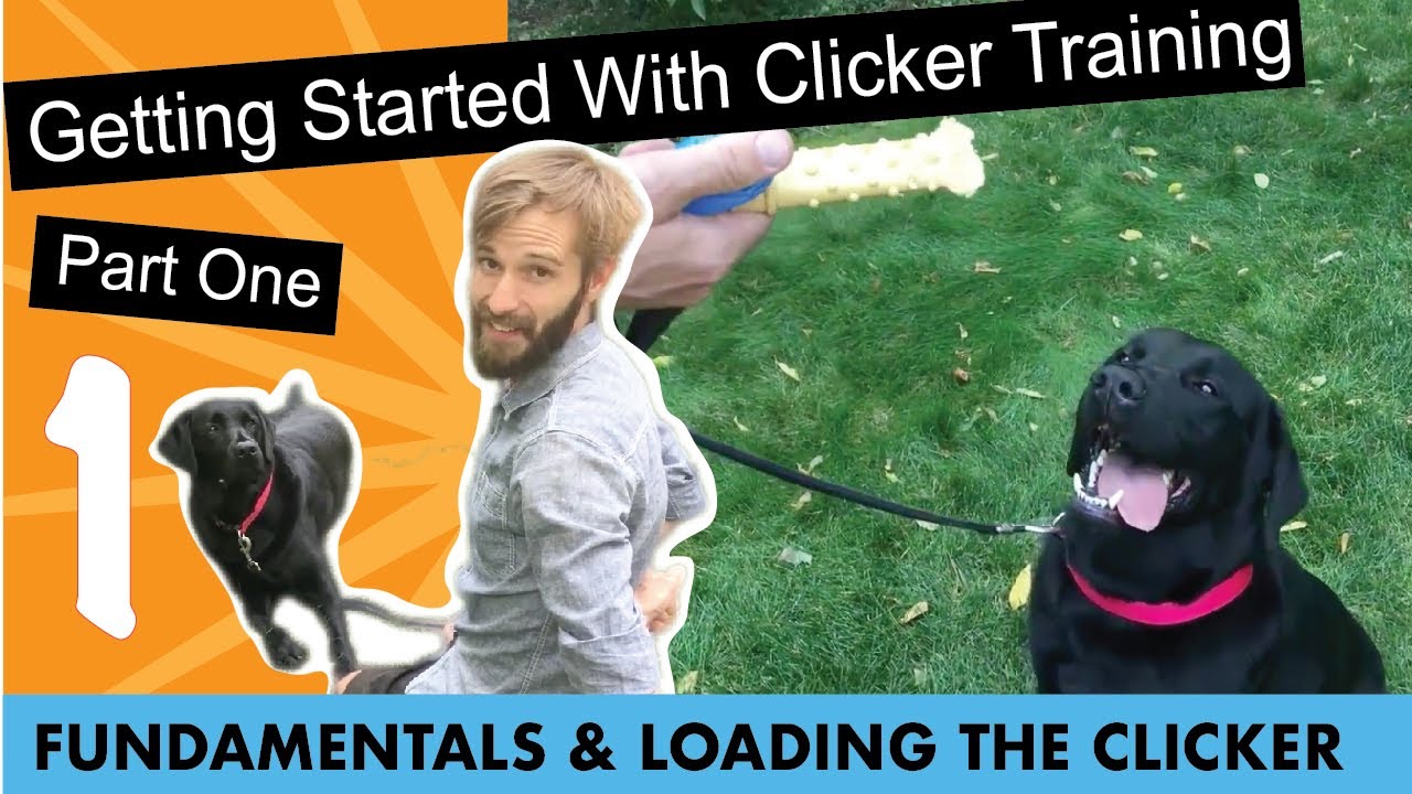Getting Started With Clicker Training - Part One - Fundamentals & Loading The Clicker - YouTube