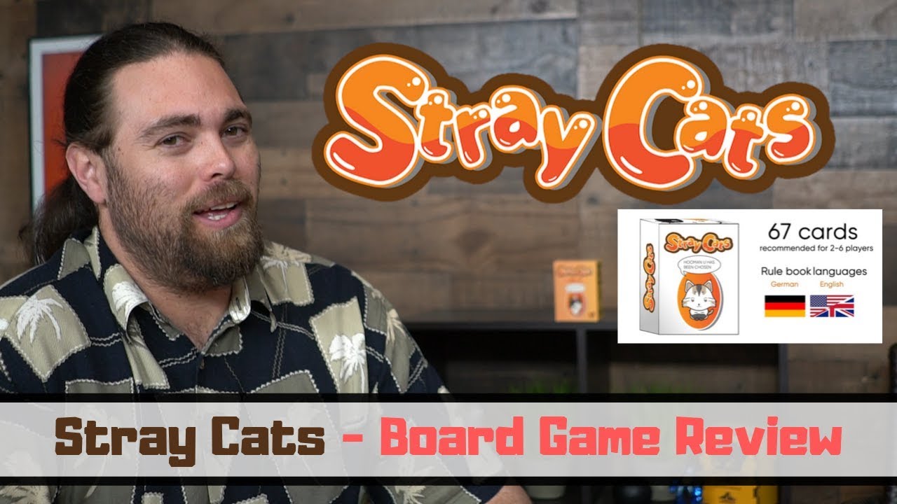 Stray Cats - Board Game Review - YouTube