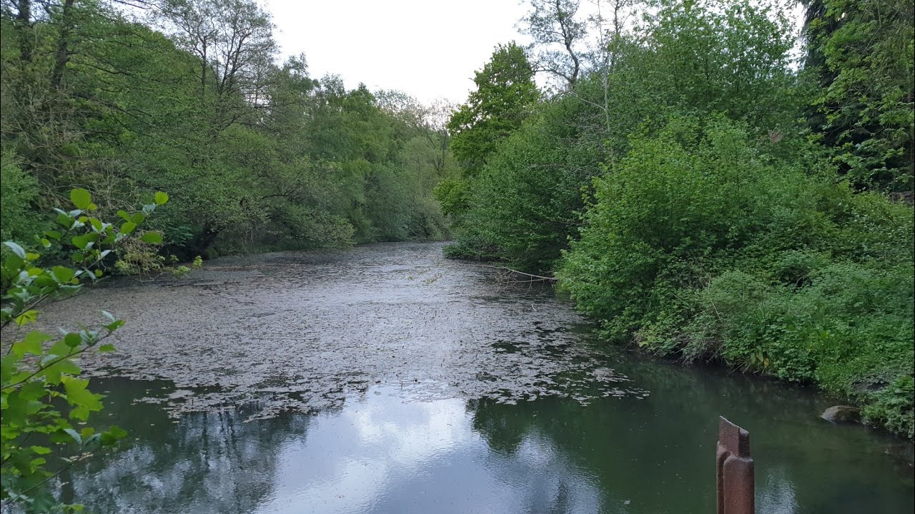 Evening walk through Rough Park, Madeley to New Pool Coalbrookdale ...