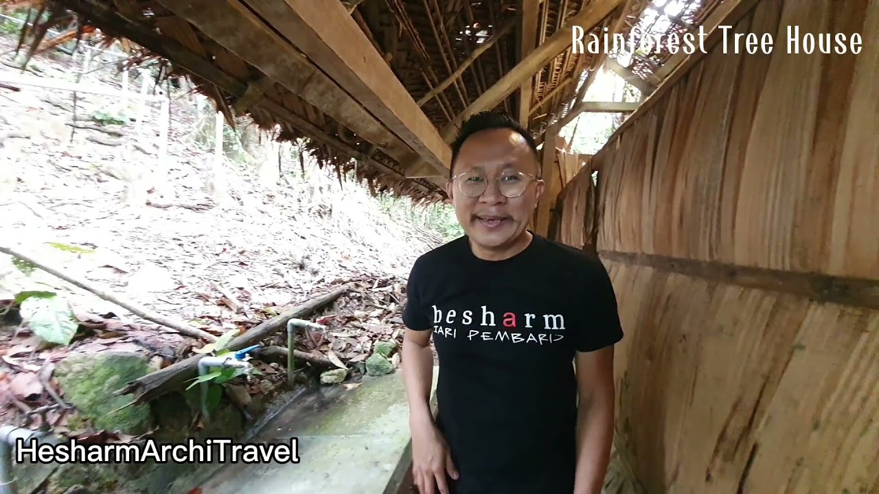 Tidur Atas Pokok - Rainforest Tree House, Gunung Pulai - YouTube