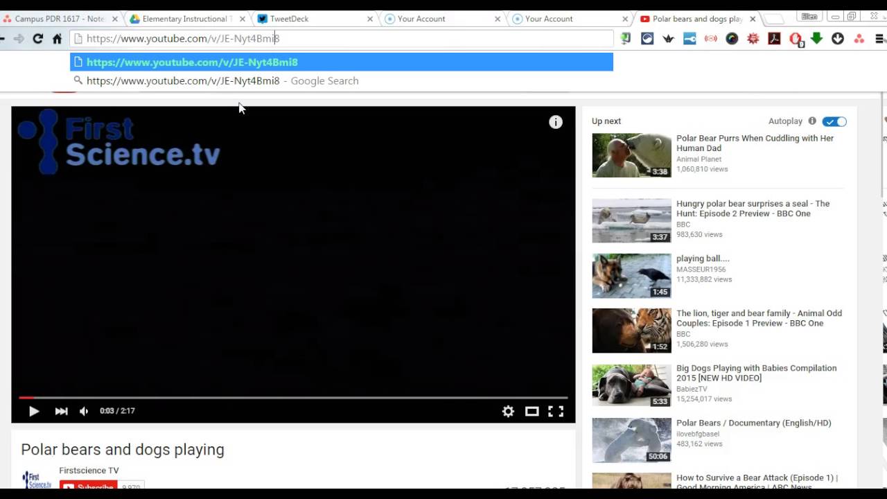 YouTube no related videos from url - YouTube