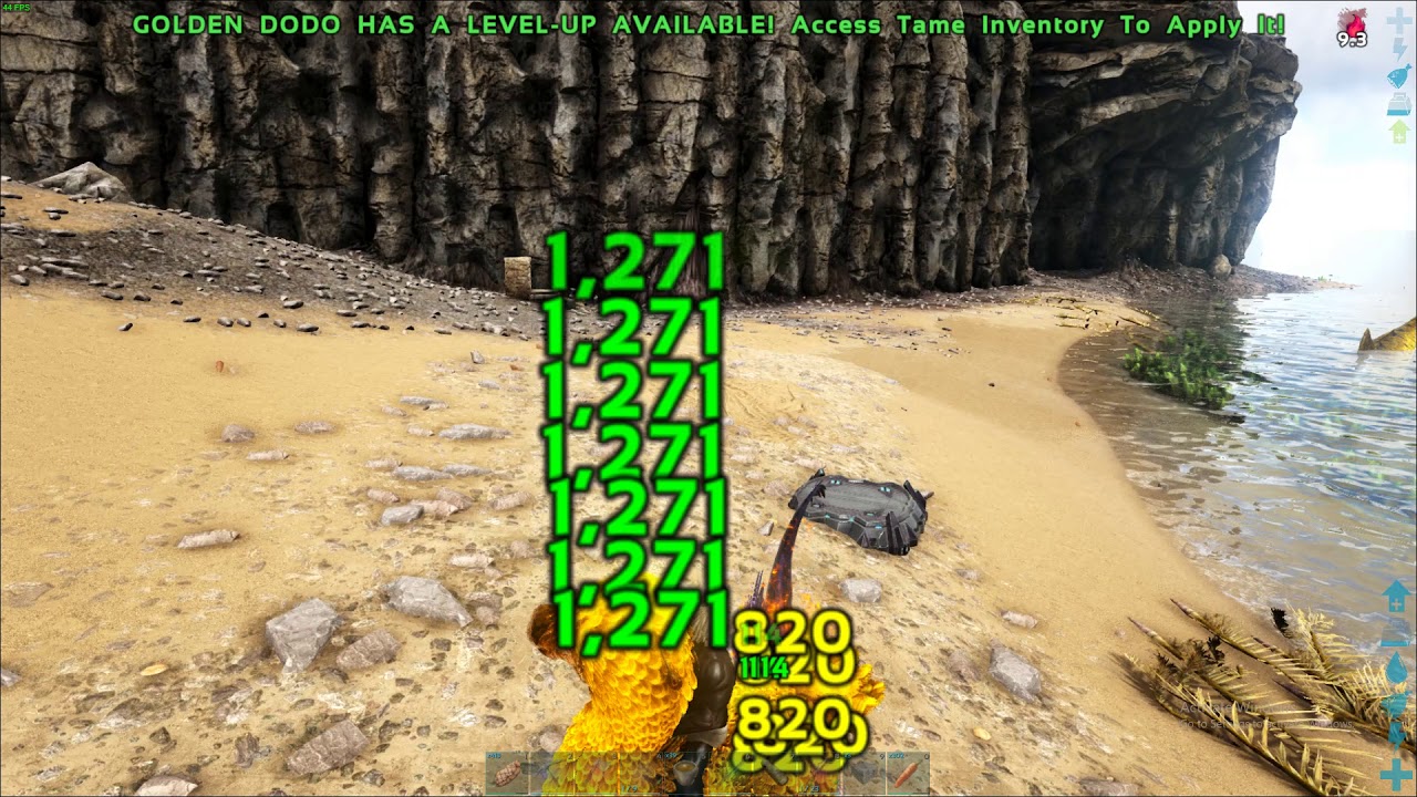 GOLDEN DODO - YouTube