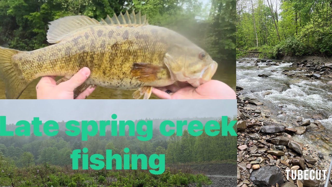 Late Spring Creek Fishing For Smallmouth Bass..(it was a grind). || The ...