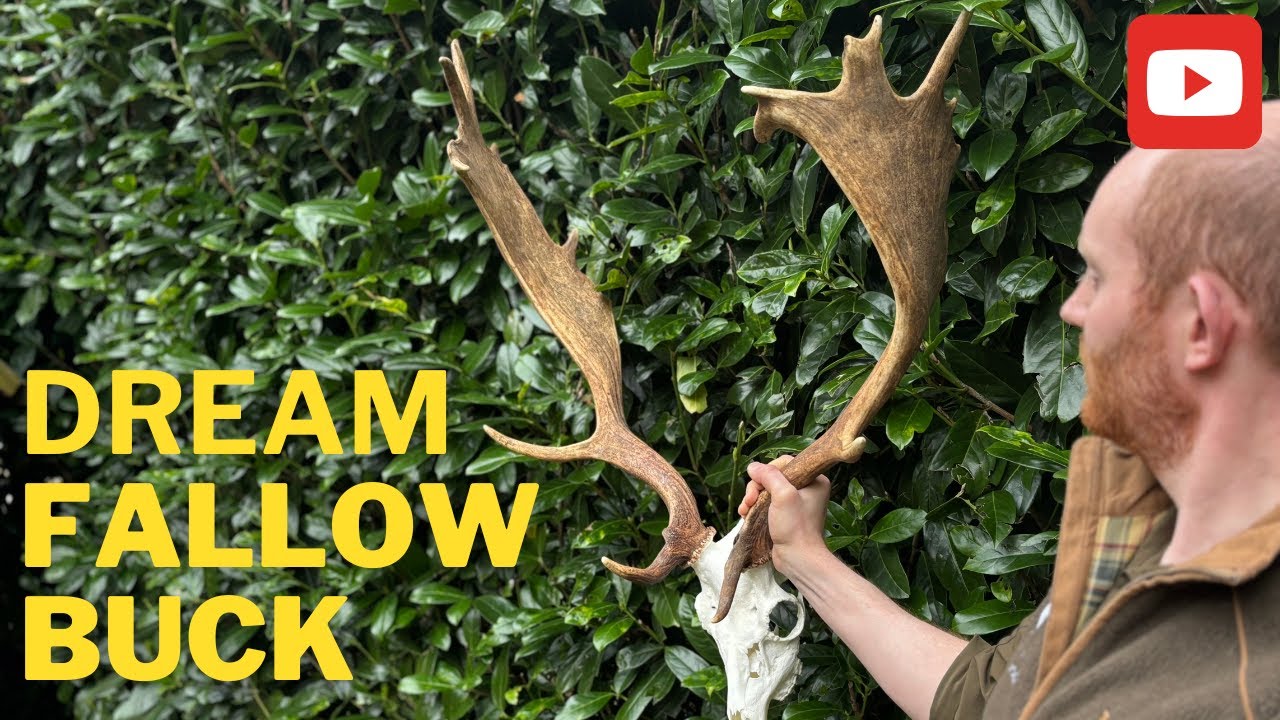 Fallow Buck of a Lifetime - YouTube