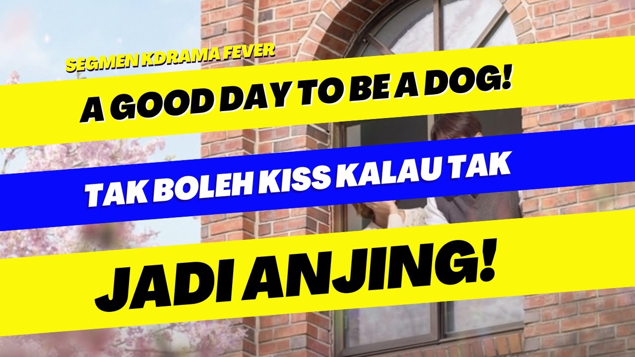 Episod 3 : A Good Day To Be A Dog | Bertukar Jadi Anjing Kalau KISS ...