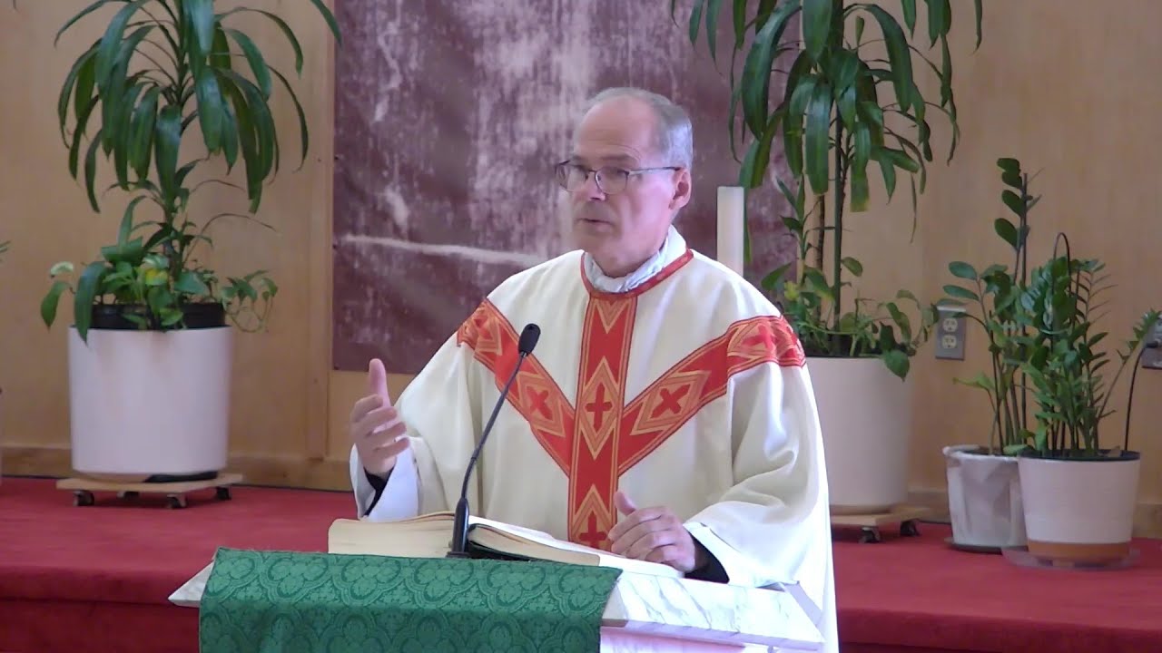 Fr. Steven: "Conditions for following Christ."- Homily Wednesday ...