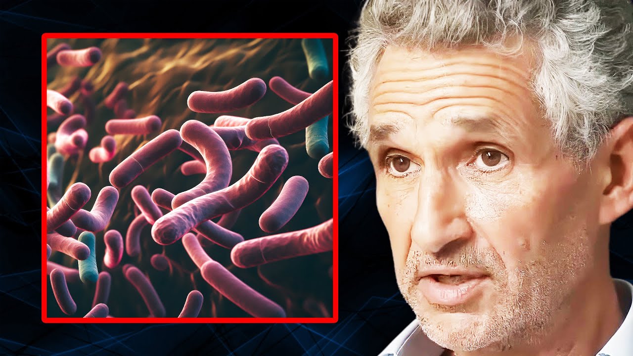 Follow These 4 BASIC RULES to Optimize Your MICROBIOME (Starting Today ...