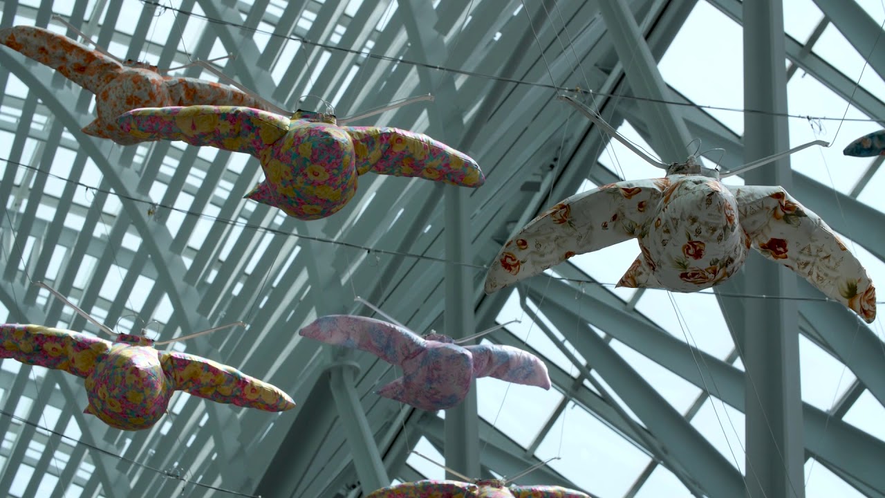 Studio F Minus: Breath - YouTube