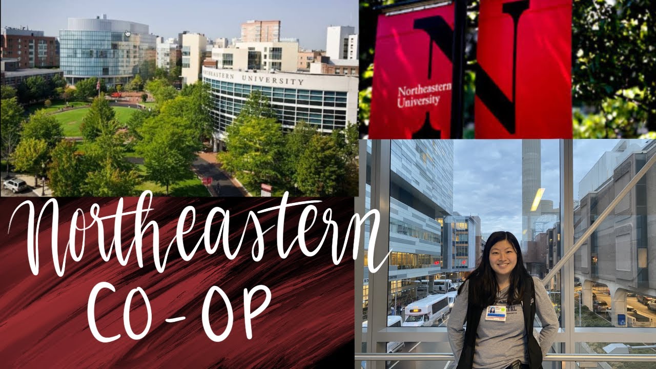 Spilling the Tea about Northeastern's Co-op program - YouTube