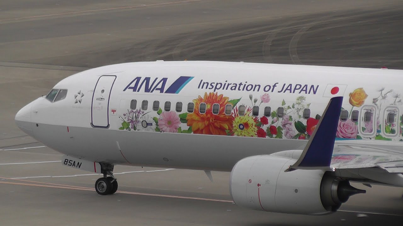お花ジェット "FLOWER JET" ANA (All Nippon Airways) Boeing 737-881 JA85AN ...