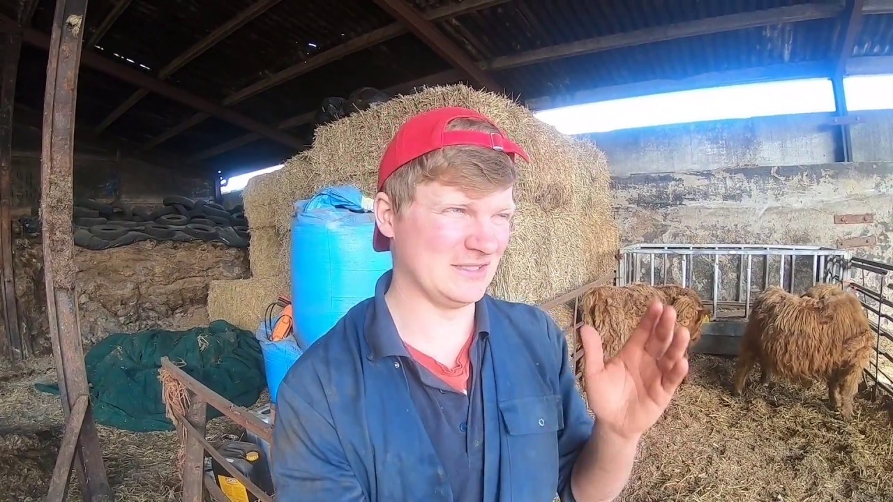 FARMFLIX - TOP 3 UP AND COMING FARM VLOGGERS - YouTube