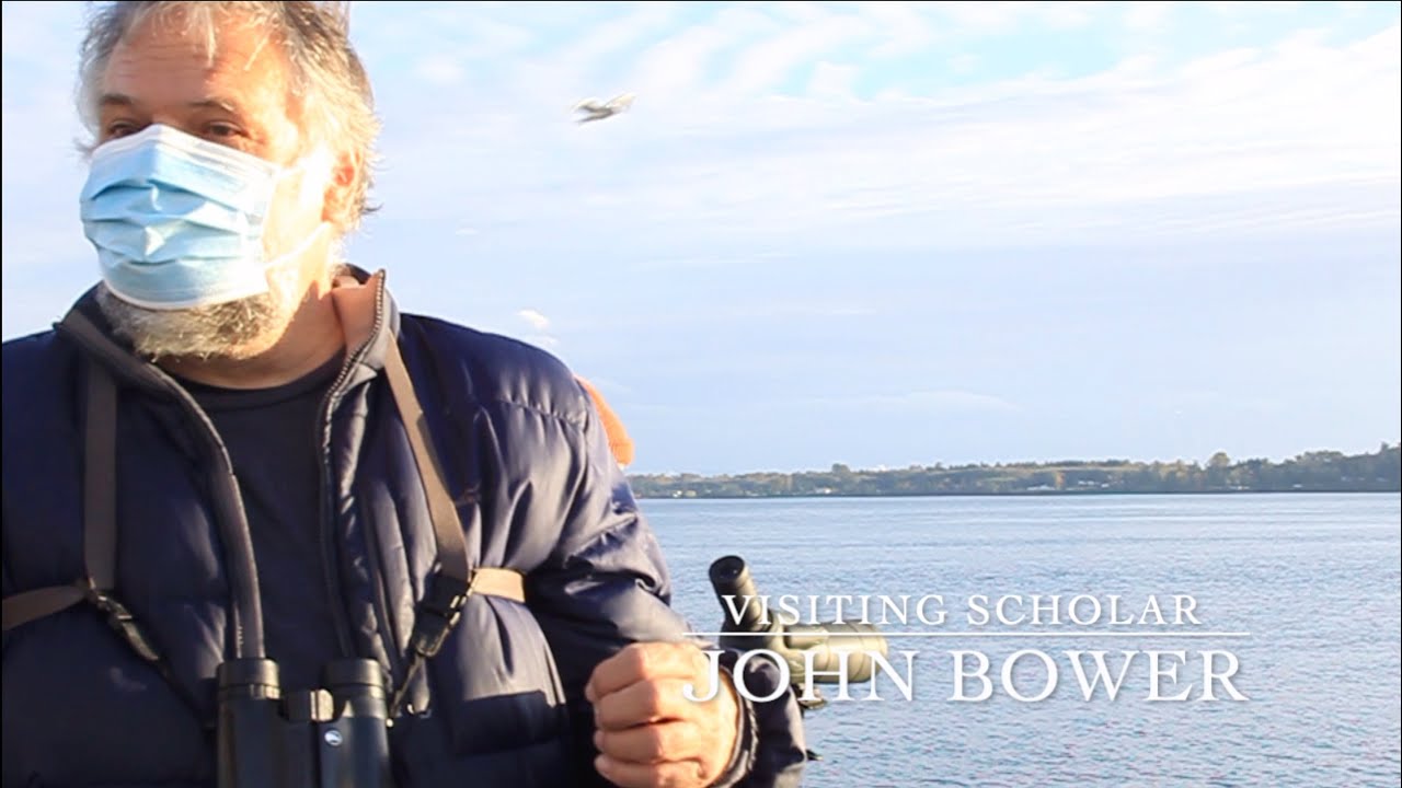 Guest Lecture: John Bower - WWU Art & Ecology Fall 2020 - YouTube